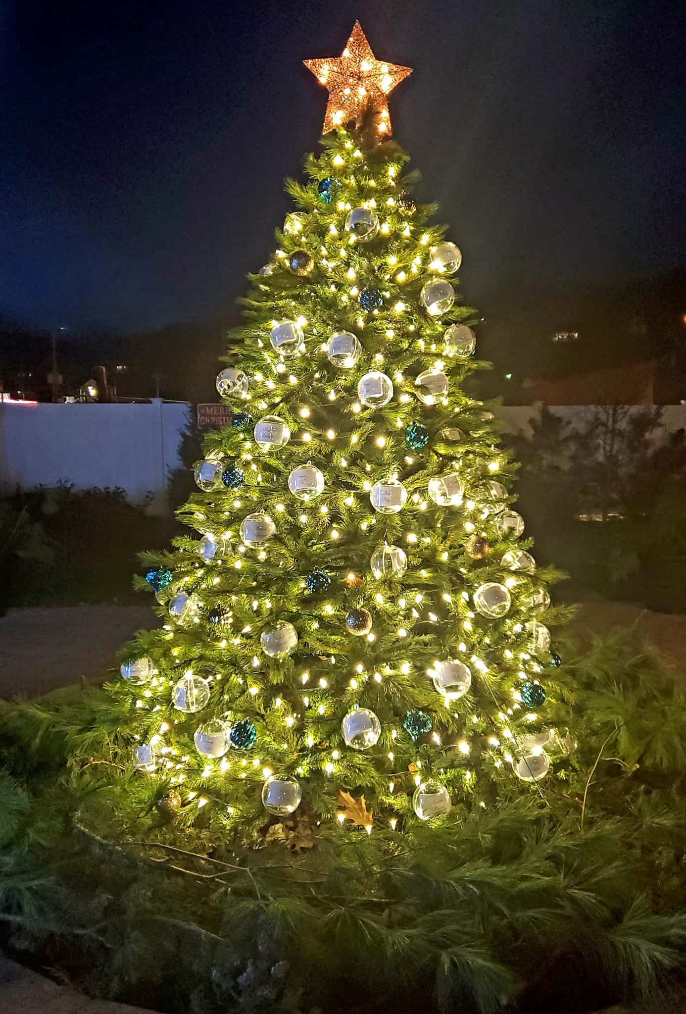 Memory Tree Ornaments • Excelsior Springs, MO Tourism